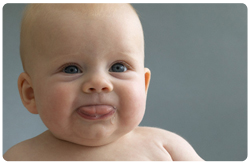 El aprendizaje temprano de los sabores influencia el comportamiento de ...